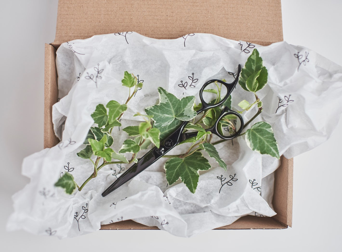 Haircutting techniques with scissors | LeafScissors – Leaf Scissors